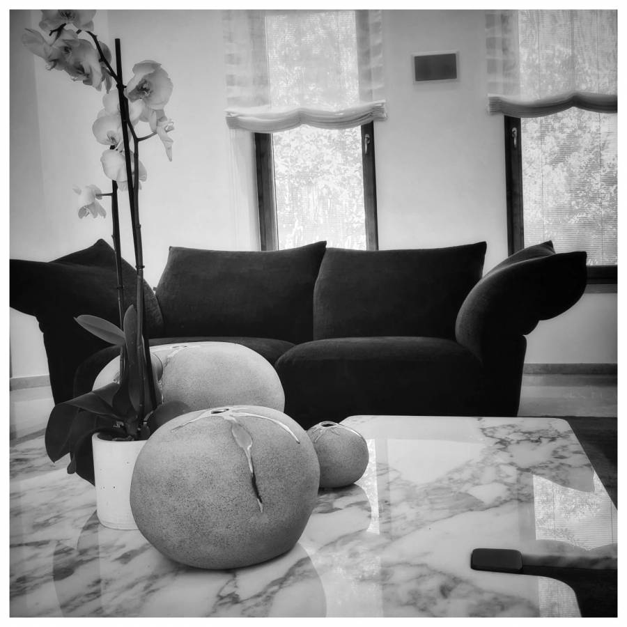 Tili Shenar-Gottfeld Architecture and Interior Design